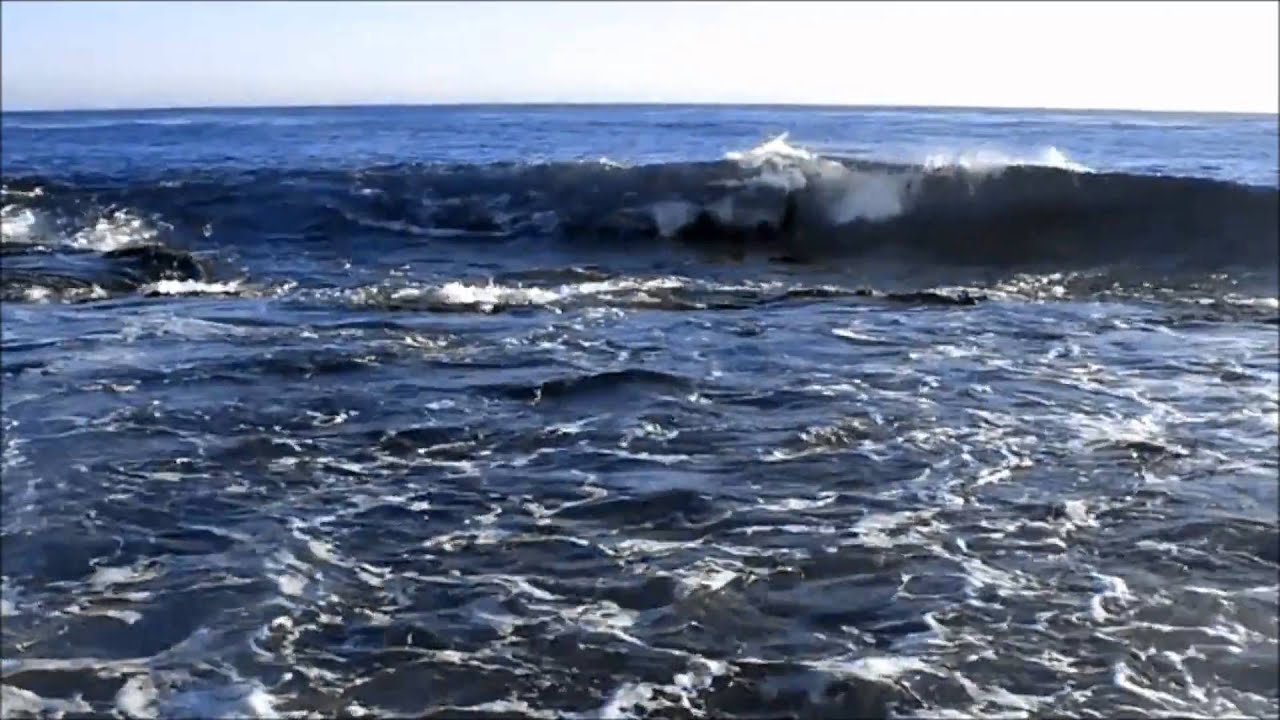 Purity - Synth New Age with Keyboard solo composed by Felipe Calani ...