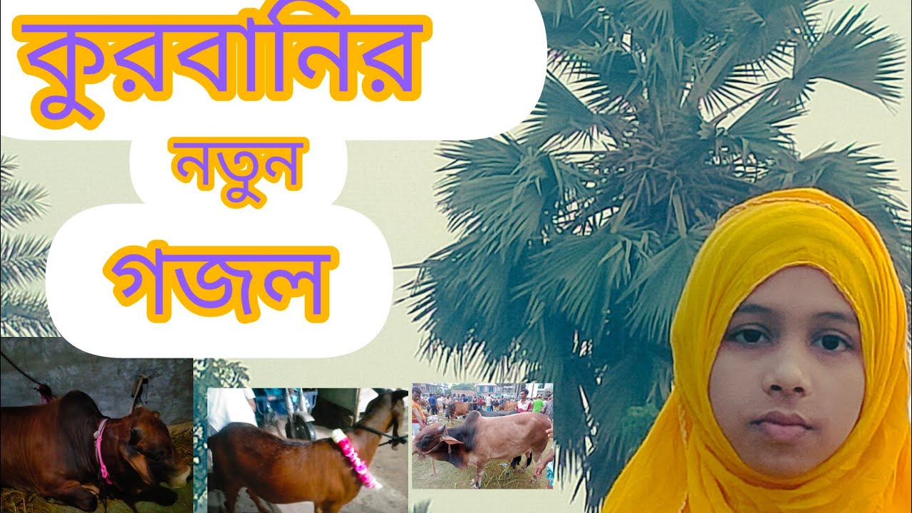 ত্যাগের মহিমায় ভুবন মাঝে। ঈদুল আজহার নতুন গজল। Taghar mohimay, Anjum ...