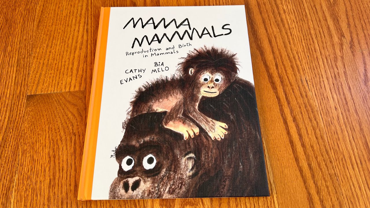 Unboxing// Mama Mammals: Reproduction and Birth in Mammals - YouTube