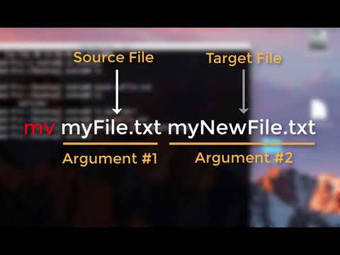Unix for Neuroimagers #2: cp, mv, and rm - YouTube