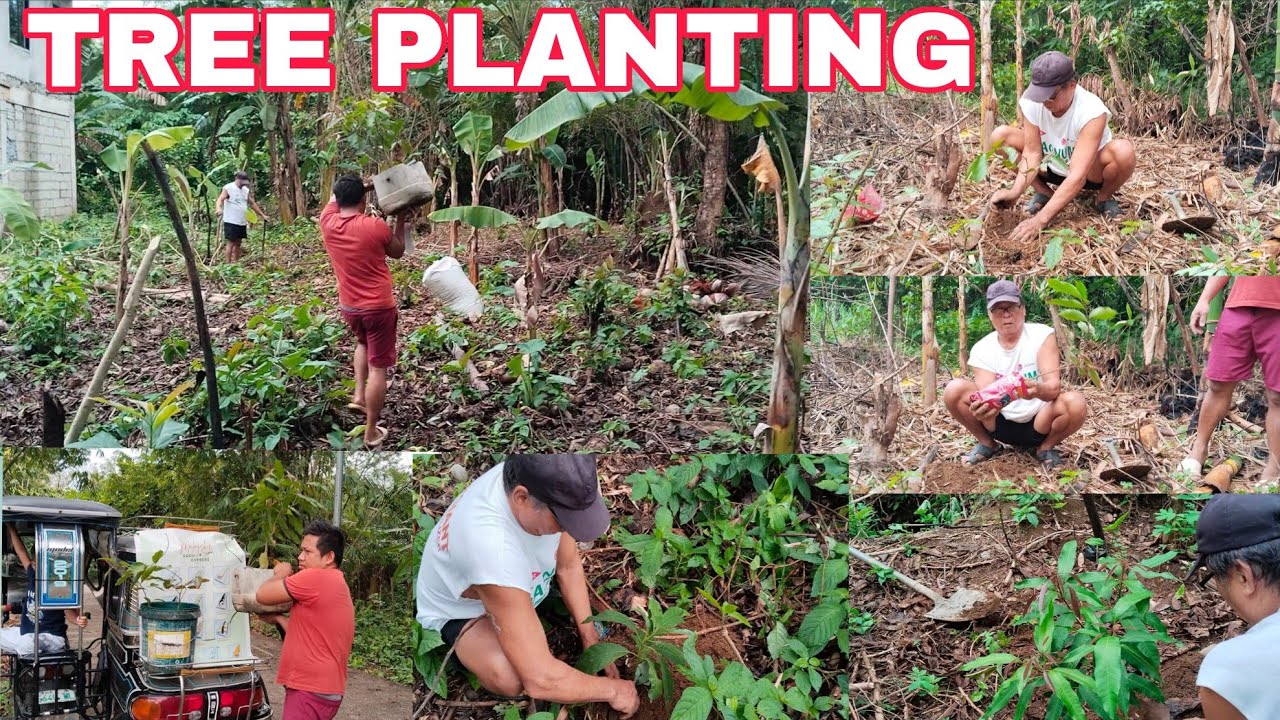 Nag Tree Planting kami for todays video 🌳🌳🌳 - YouTube