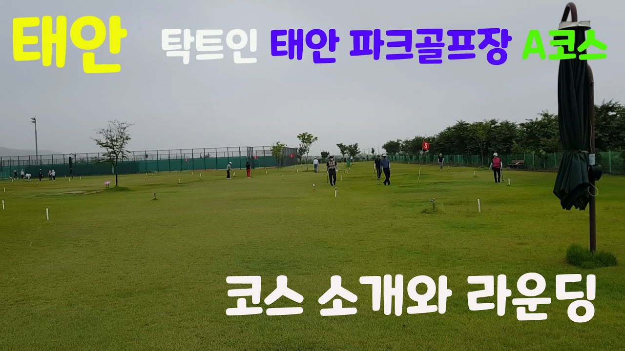 태안 파크골프장a코스시원한 개방감과 언들레이션의 조화 파크골프라운딩공략싱글골퍼골프스윙태안굿샷코스소개골린이