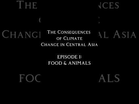 The consequences of climate change in Central Asia