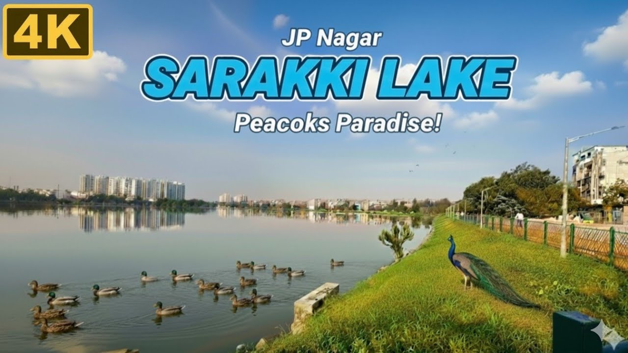 Sarakki Lake JP Nagar Bengaluru | Beautiful Hidden Lake & Nature Vlog ...