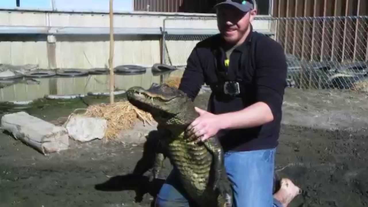 iRide Films Presents: Take a Ride: On a Gator - YouTube