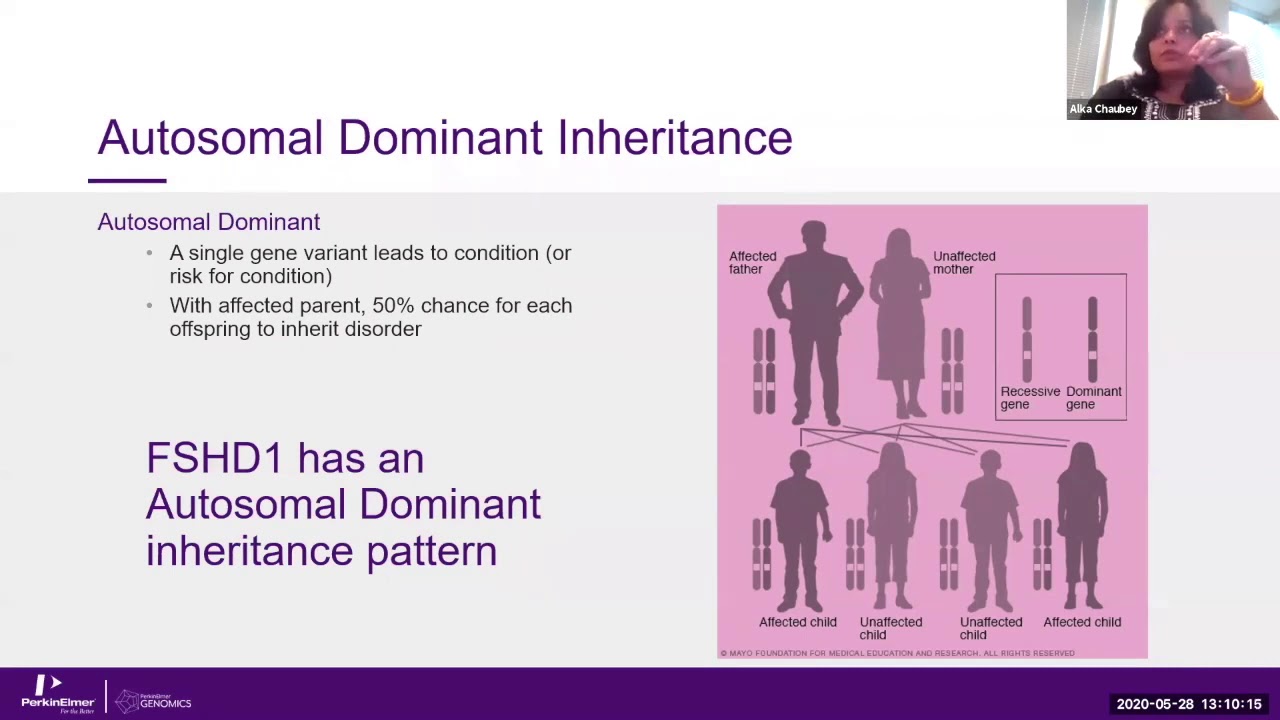Genetics and Testing Approaches for Facioscapulohumeral Muscular ...