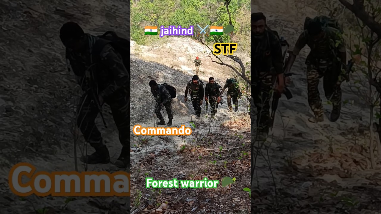 मेरा हाल बुरा है।#commando #army #armylover #armymotivation #viralvideo ...