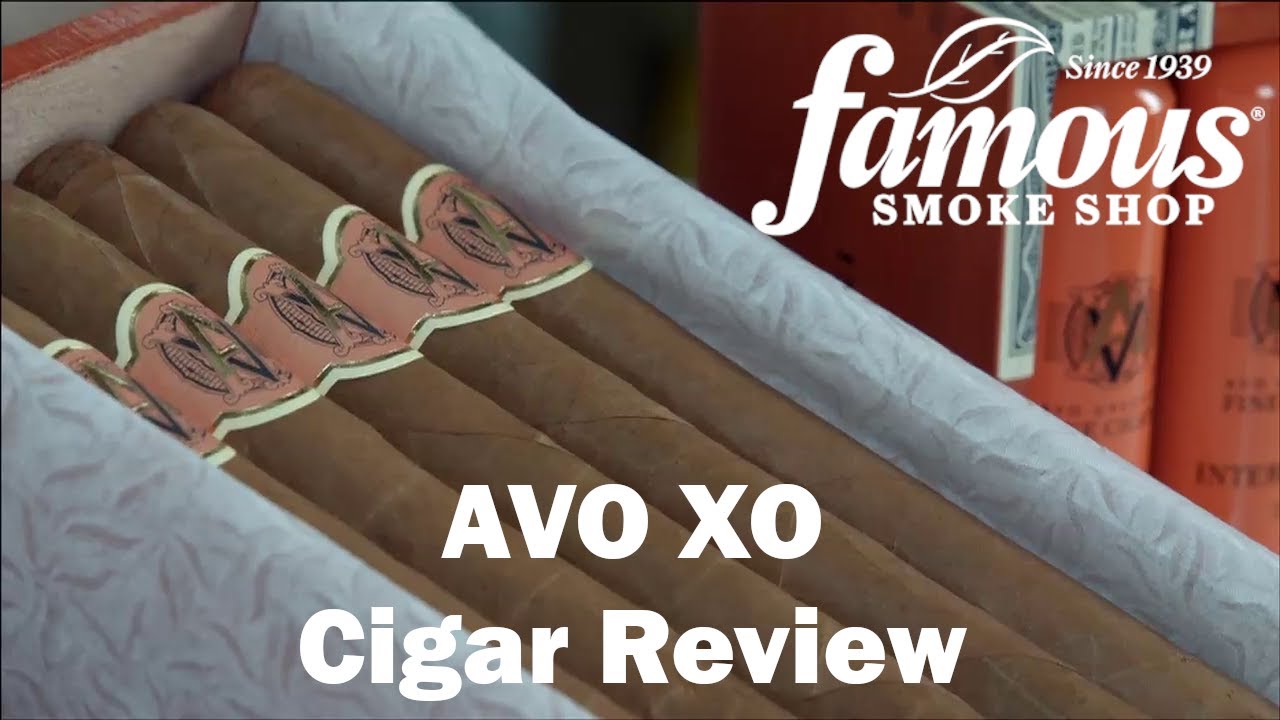 Avo XO Cigars Review - Famous Smoke Shop - YouTube
