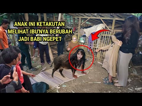 🔴 VIRAL !! ANAK INI KETAKUTAN,SETELAH MELIHAT IBU'NYA BERUBAH JADI BABI NGEPET