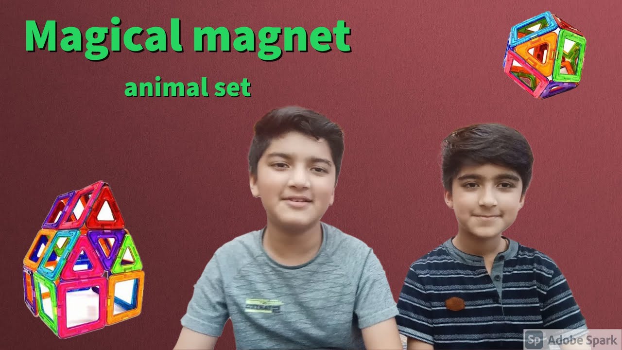 Unboxing magical magnet animal set and playtime - YouTube