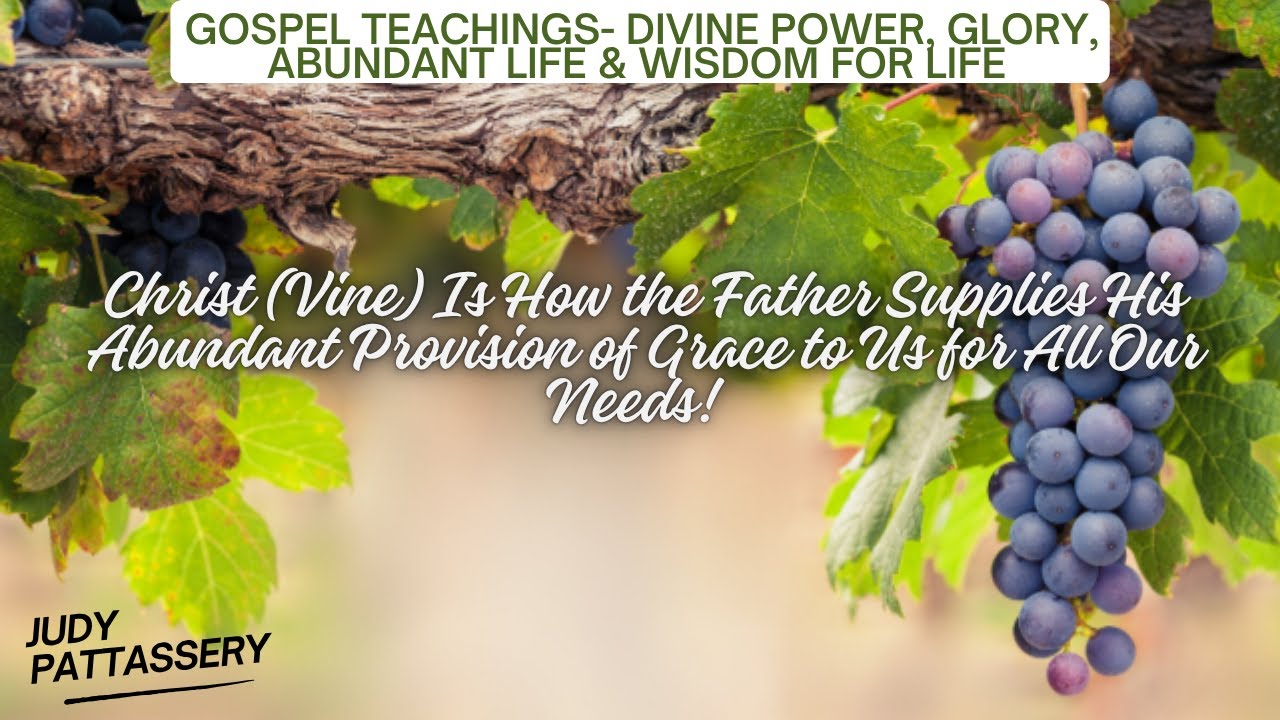 Christ (Vine) Is How the Father Supplies His Abundant Provision of ...