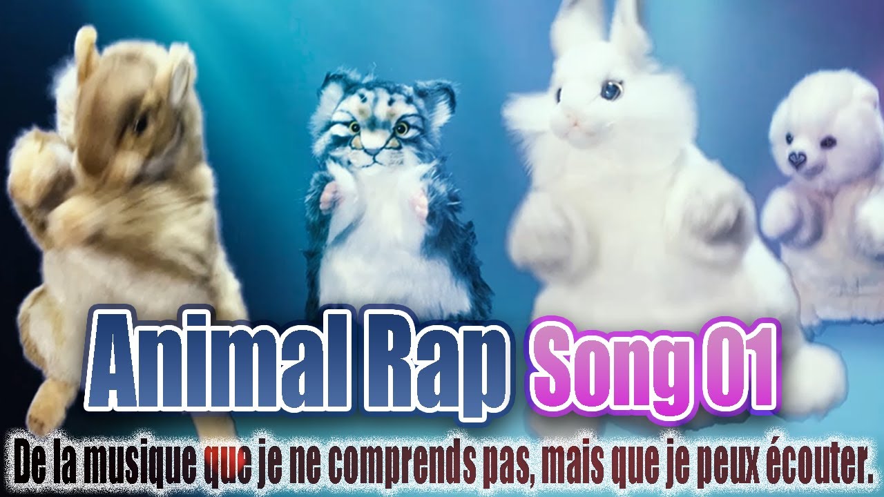Animal Rap Song01 Version française - YouTube
