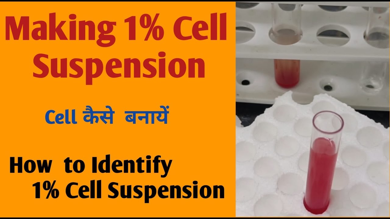 How to make cell suspension - YouTube