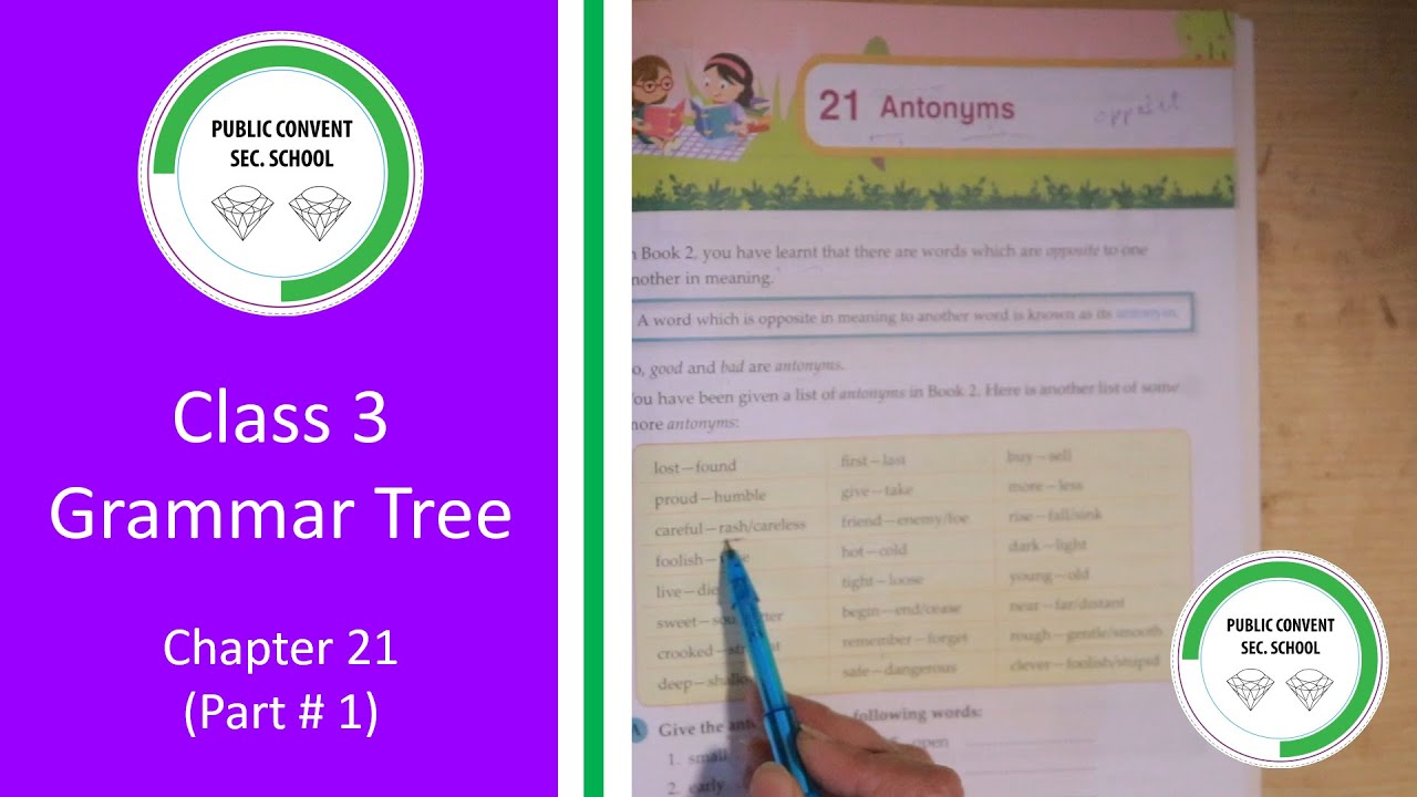 Grammar Tree | Class # 3 | Chapter 21 Antonyms (Part # 1) - YouTube
