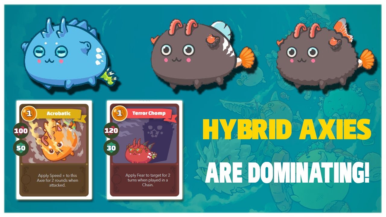 Axie Infinity | Hybrid Axies are the new META | feat CHOPSUEY Gaming ...