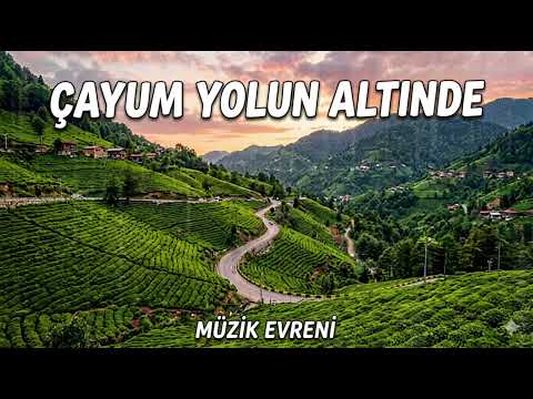 musıc evreni / Çayum yolun altinde (Official Audio)
