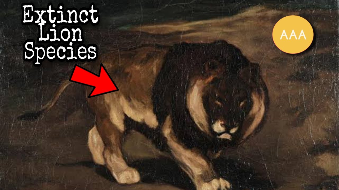 4 Unique Types Of Lions || PART 2 || All About Animals - YouTube