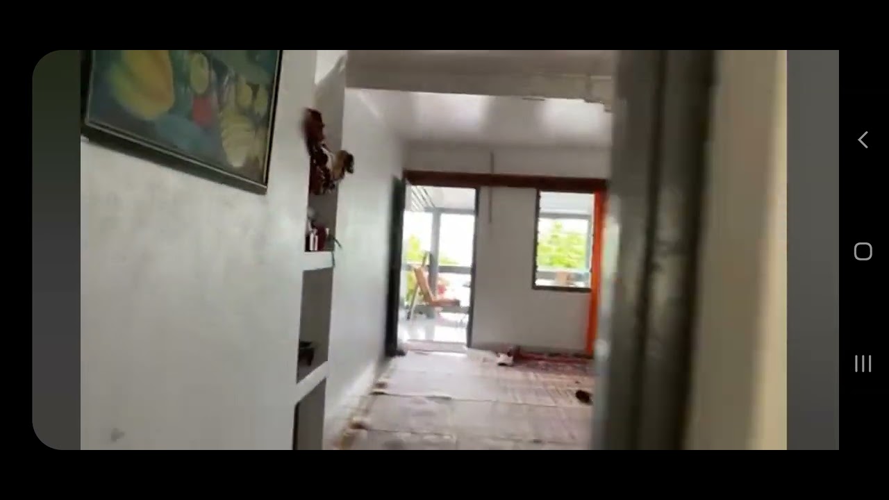 Tsunami waves reaching the shores of Mavana village in vanuabalavu ...