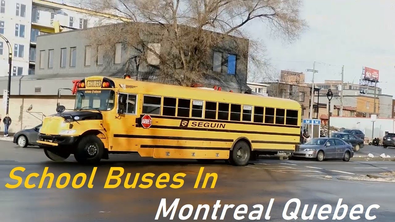 SCHOOL BUSES DRIVING IN MONTREAL QUEBEC CANADA MARCH 2023 - YouTube