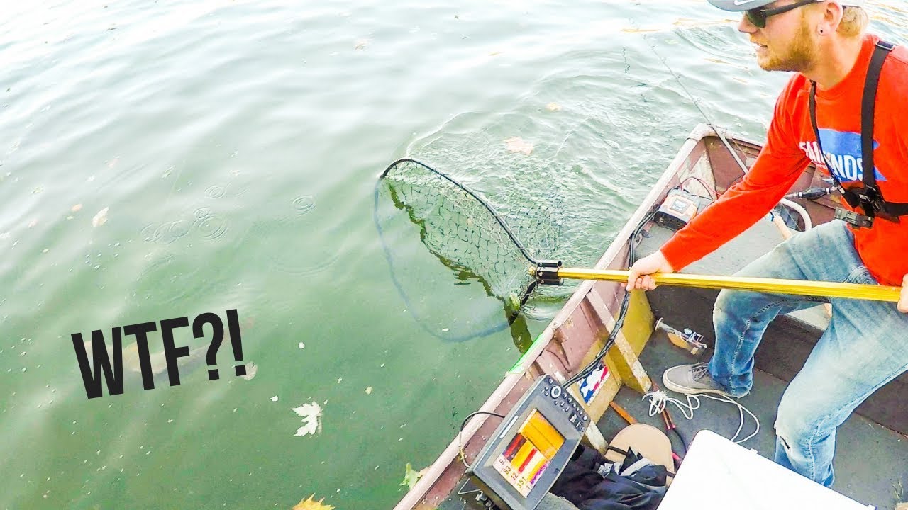 I Can't Believe I Caught This MUSKIE Fishing || Ace's Musky Hunt Begins ...