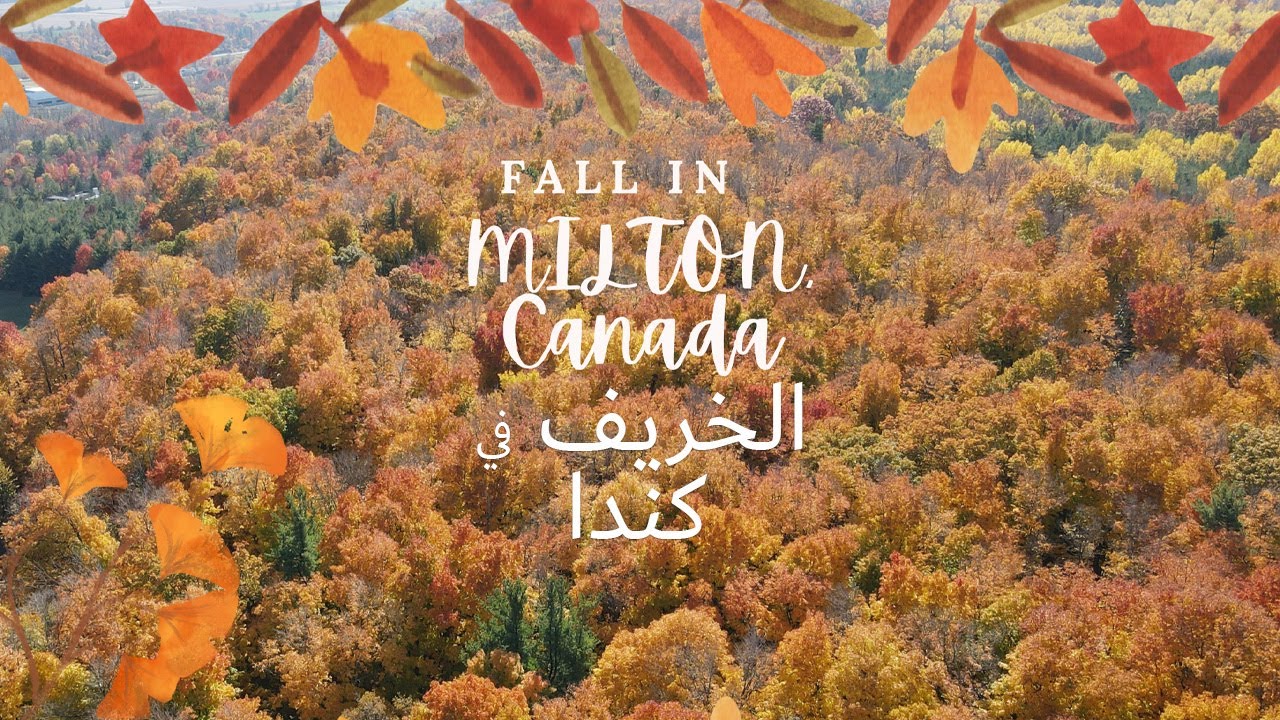 الخريف في كندا _ Fall in Canada, Town of Milton - YouTube
