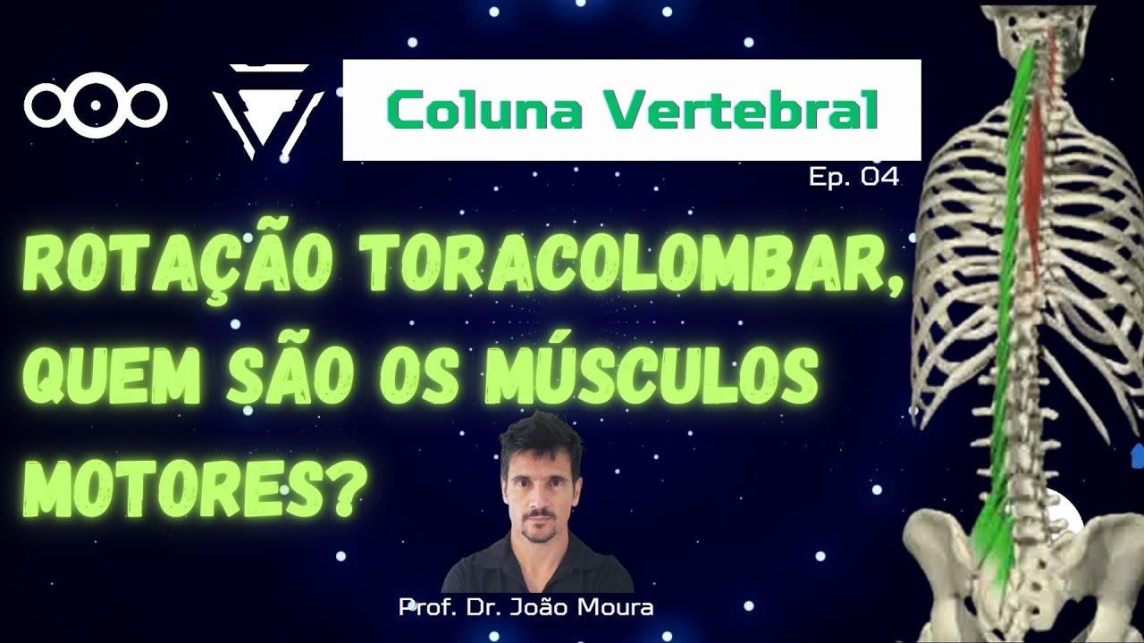 CINESIOLOGIA AVANÇADA: COMO OS MÚSCULOS ROTADORES DA COLUNA TRANSFORMAM ...
