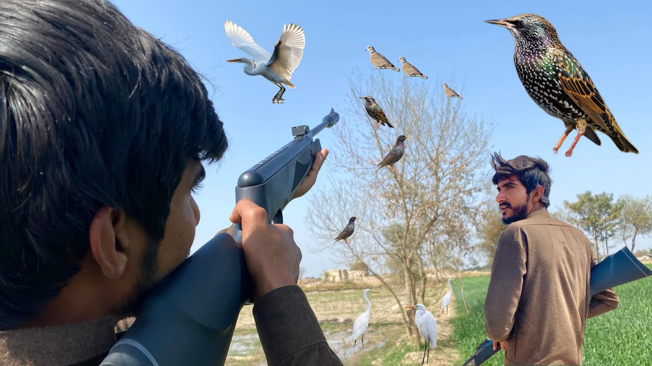 Pakistani Hunter _Hunting Bird in My Beautiful Village - YouTube