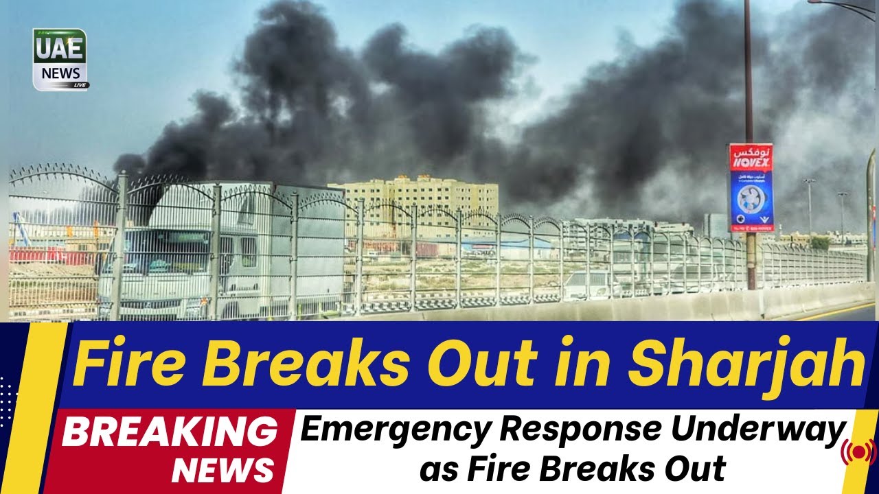 Fire Breaks Out in Sharjah’s Industrial Area near Al Khan Bridge - YouTube