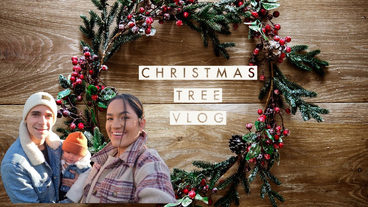 LET THE FUN BEGIN!! **(CHRISTMAS TREE)** - YouTube