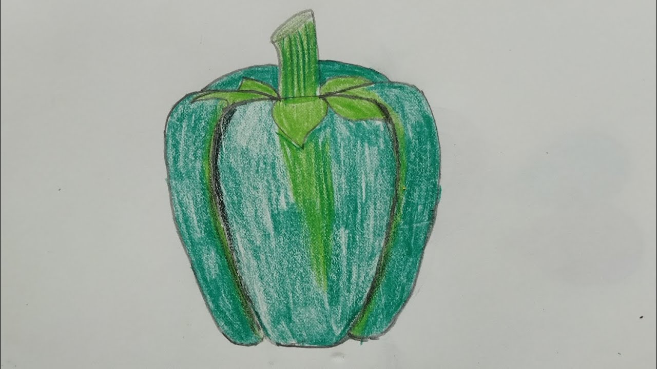 how to draw a capsicum🫑| - YouTube