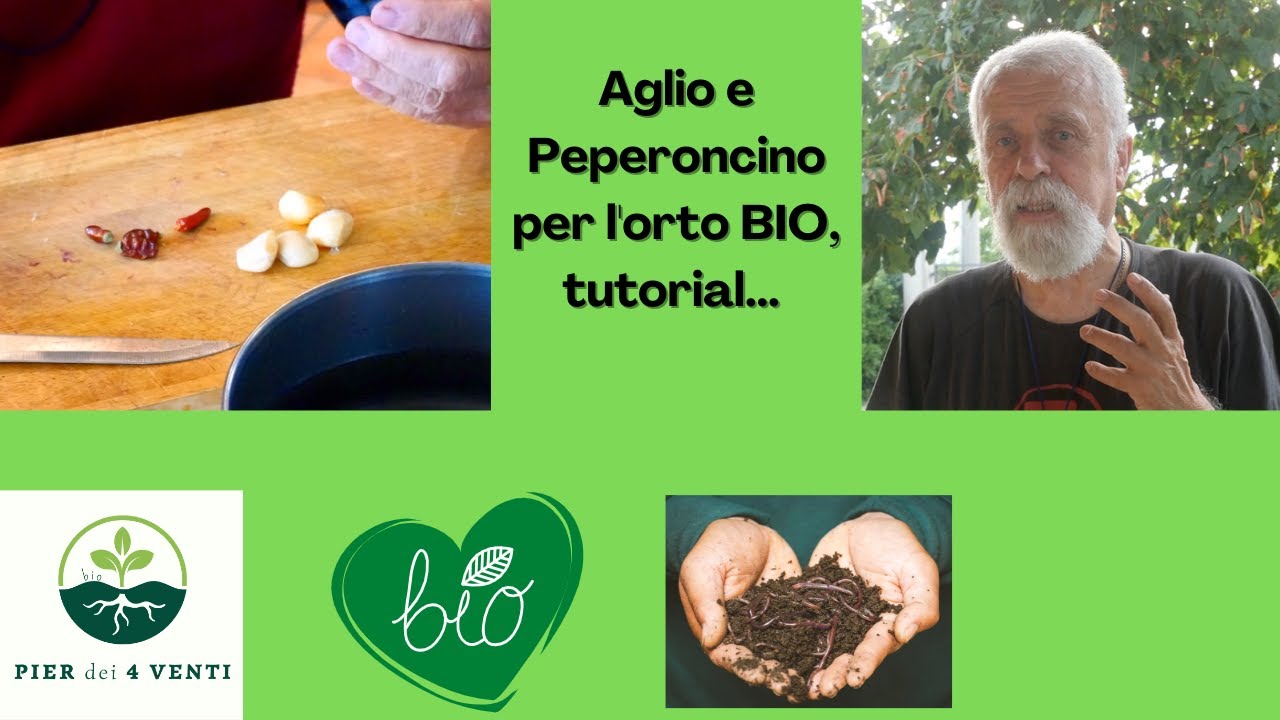 Aglio e peperoncino antiparassitario BIO, tutorial... - YouTube