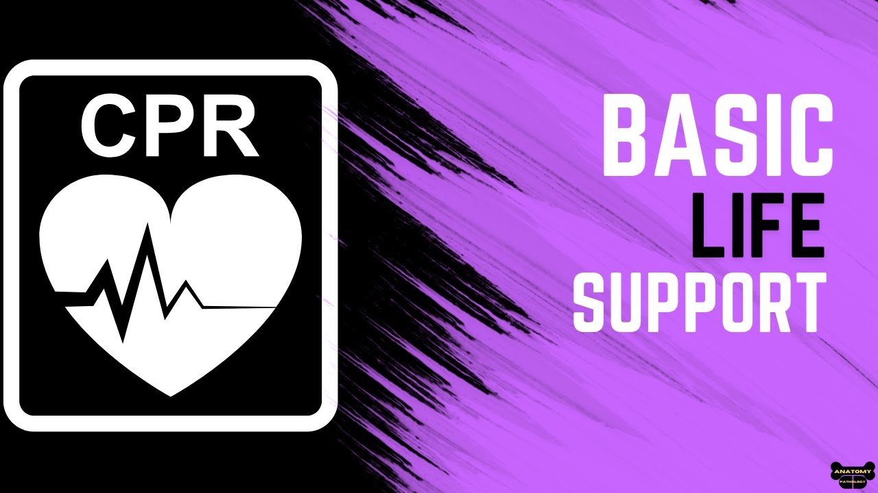 Basic Life Support - YouTube