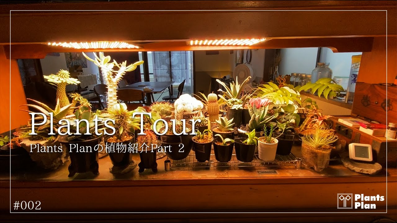 #002 Plants Tour2 - YouTube