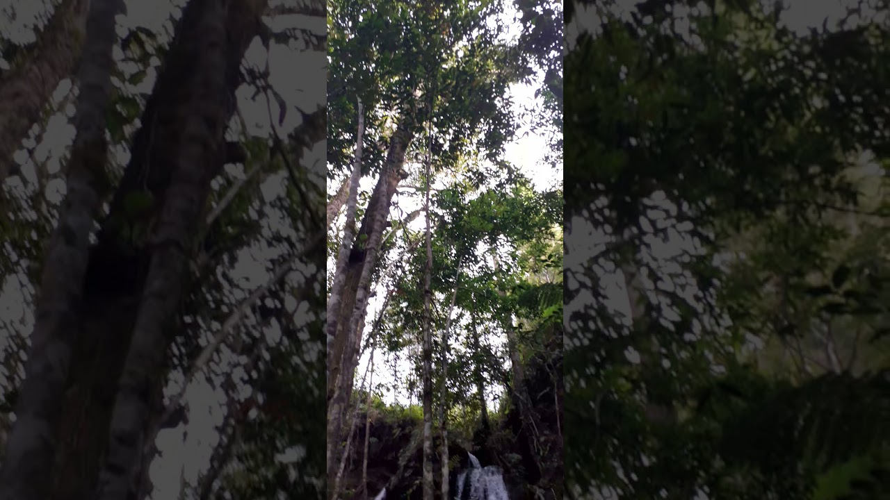 Air terjun di lembah napu sulteng sejuk dan tenang - YouTube