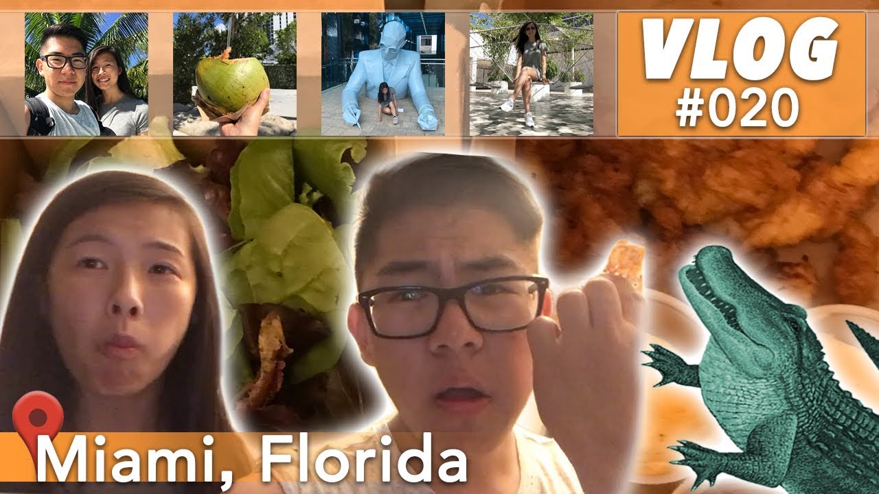 Exotic Alligator Meat in Miami, Florida | Man Eats Gator - YouTube