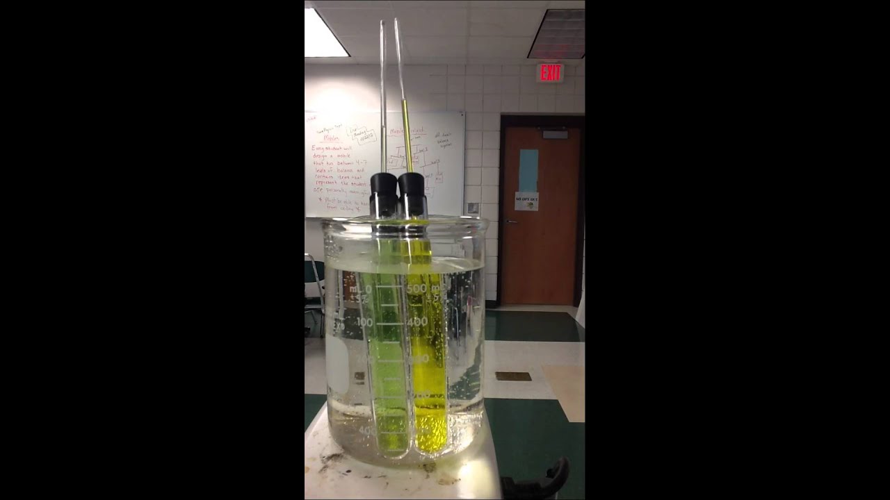 How Does a Thermometer Work? - YouTube