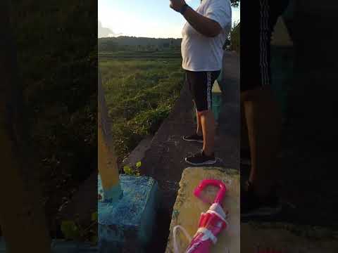 Beautiful sunset sa bukid.🥰#bukidfeels #provincelife @KAITHTINE15 - YouTube