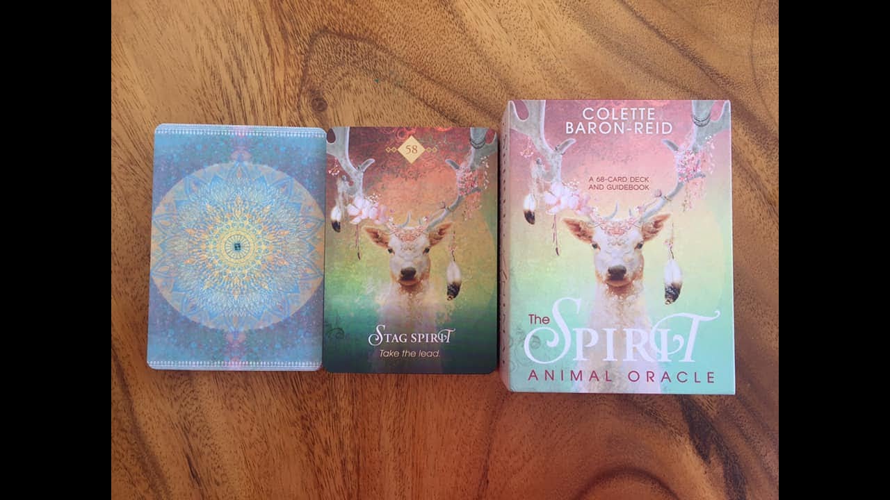 The spirit animal oracle- COLETTE BARON-REID- Bộ bài lời khuyên thông ...