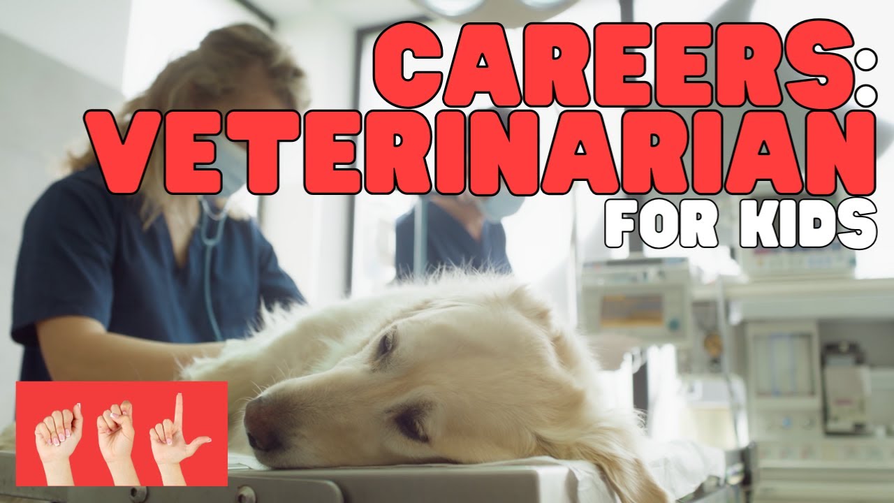 ASL Careers: Veterinarian for Kids - YouTube
