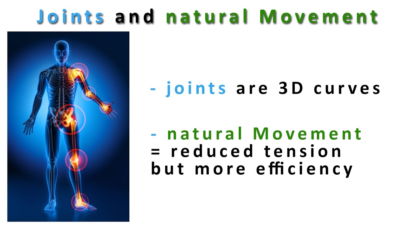 Human Joints and Natural Movement - part 1 - YouTube