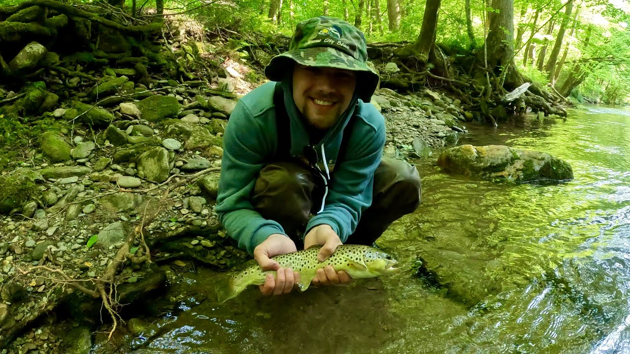 We had another slay day Hook’n Lips! Big, beautiful brown trout AND ...