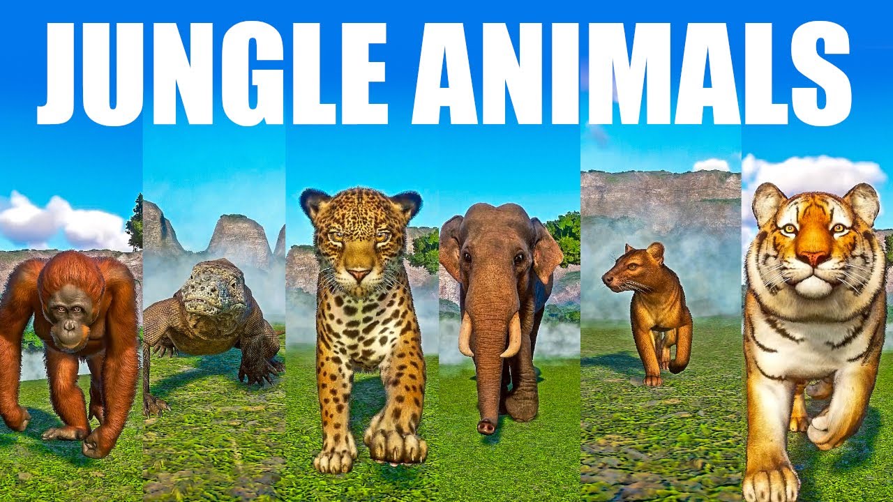 Jungle Animals Speed Races in Planet Zoo included Tiger, Fossa, Indian ...