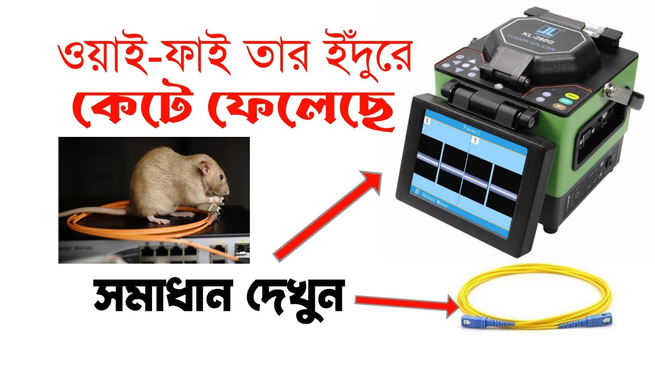 ওয়াইফাই এর তার ইদুরে কেটে ফেলেছে। Wifi Cable Cut In Rat। Fiber ...