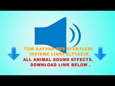 Gorilla Breaths  / Gorilla Nefesleri, sesi/ All animal sound effeckt download link below