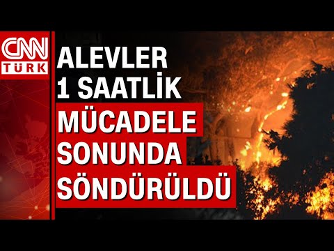 Balıkesir'in Edremit ilçesinde orman yangını çıktı