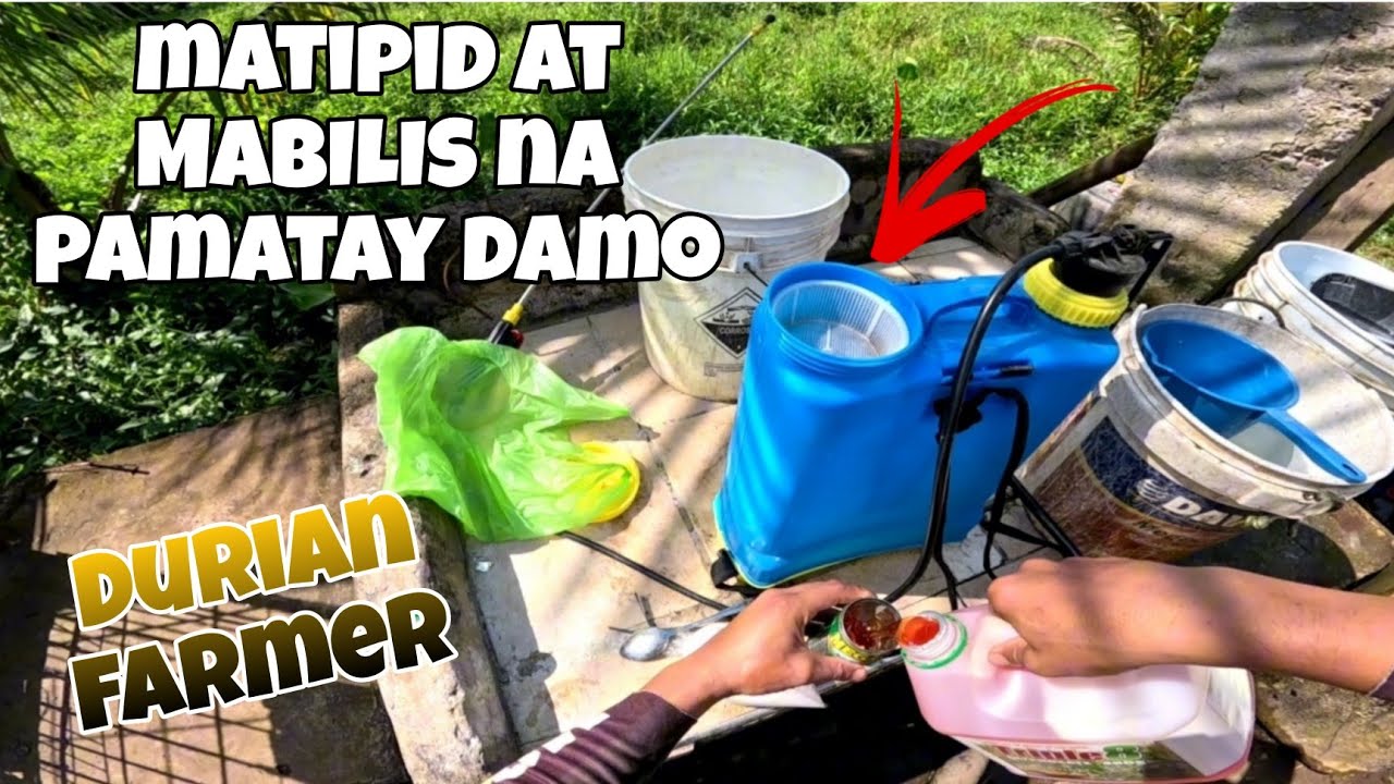 PAANO PATAYIN ANG DAMO.MATIPID AT MABILIS NA PAMATAY DAMO. - YouTube