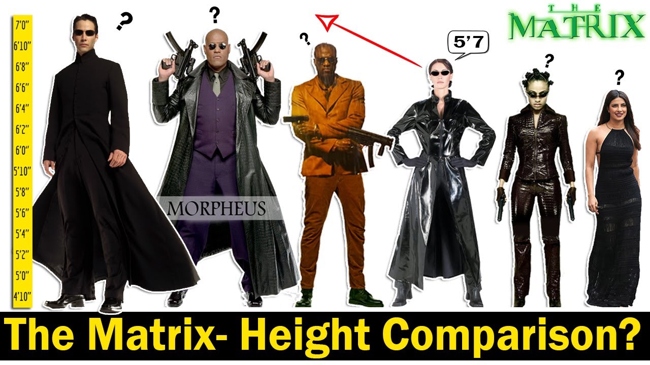 The Matrix Resurrections Cast Height comparison [2021] | The Matrix ...