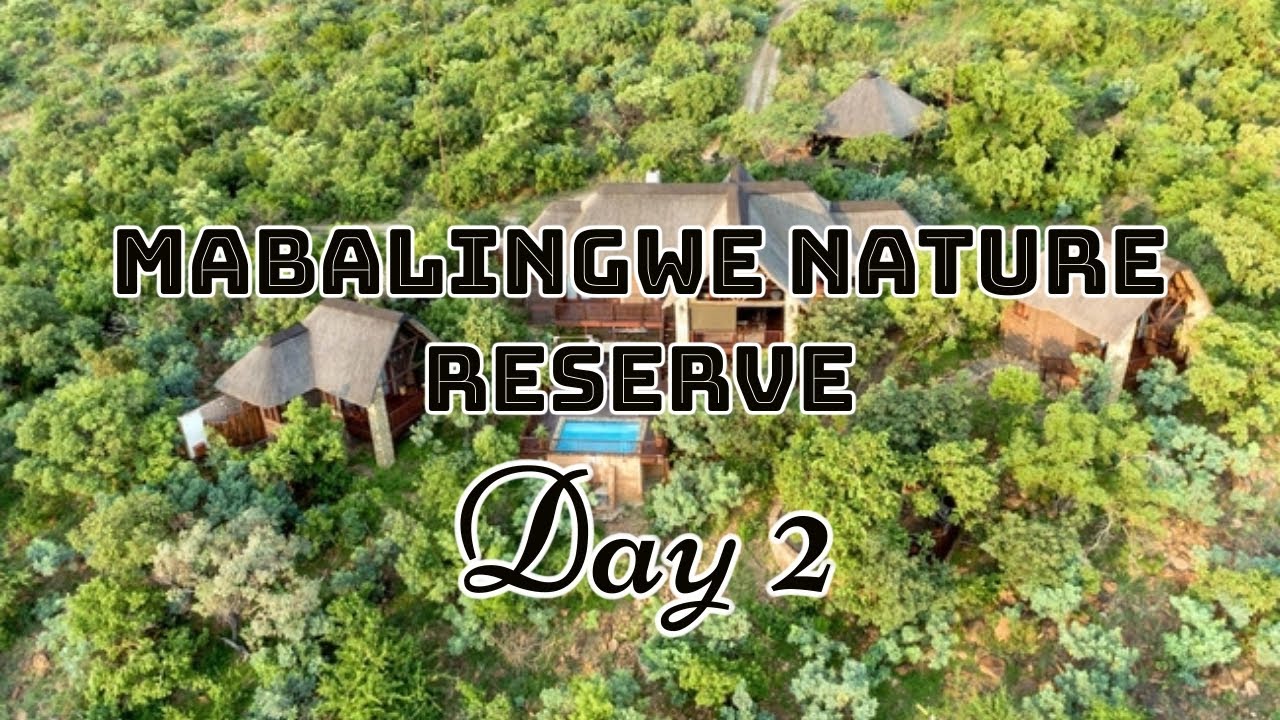 Mabalingwe Nature Reserve | Day 2 | Bela Bela | May 2022 - YouTube