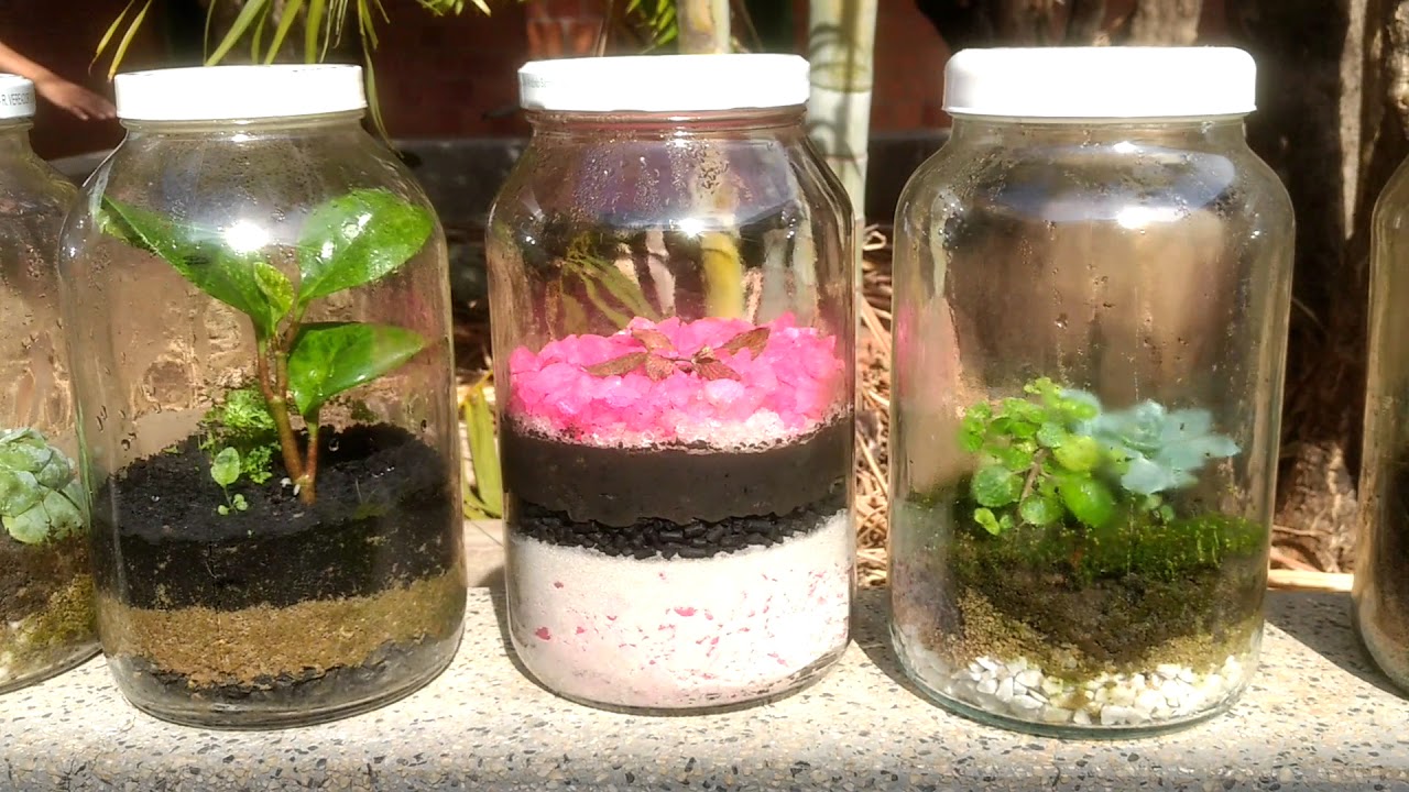 Terrário 2017 - Escola Vitor - Paulínia-SP - Sala 6C - YouTube