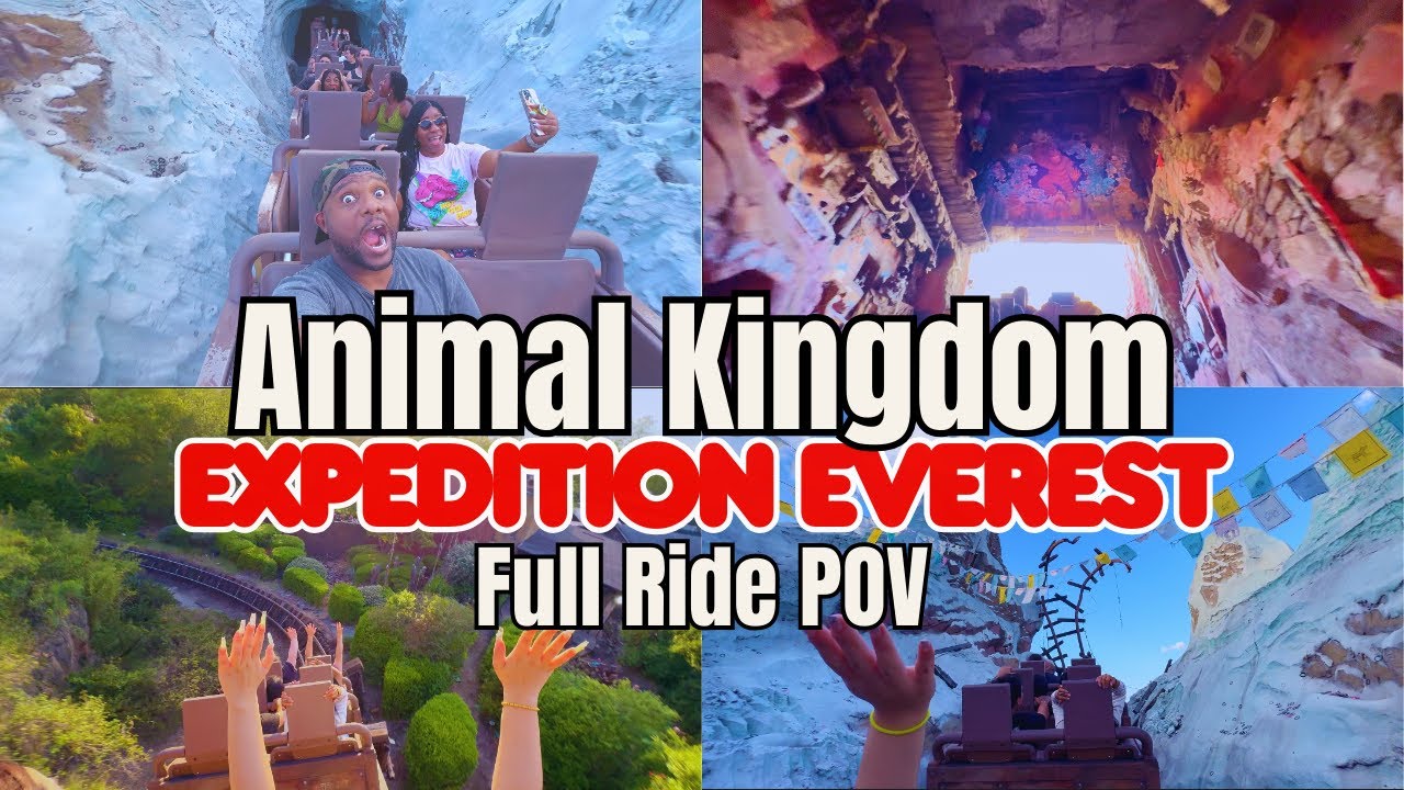 [FULL RIDE POV] Expedition Everest Roller Coaster! 🏔️ (2025 - Animal ...